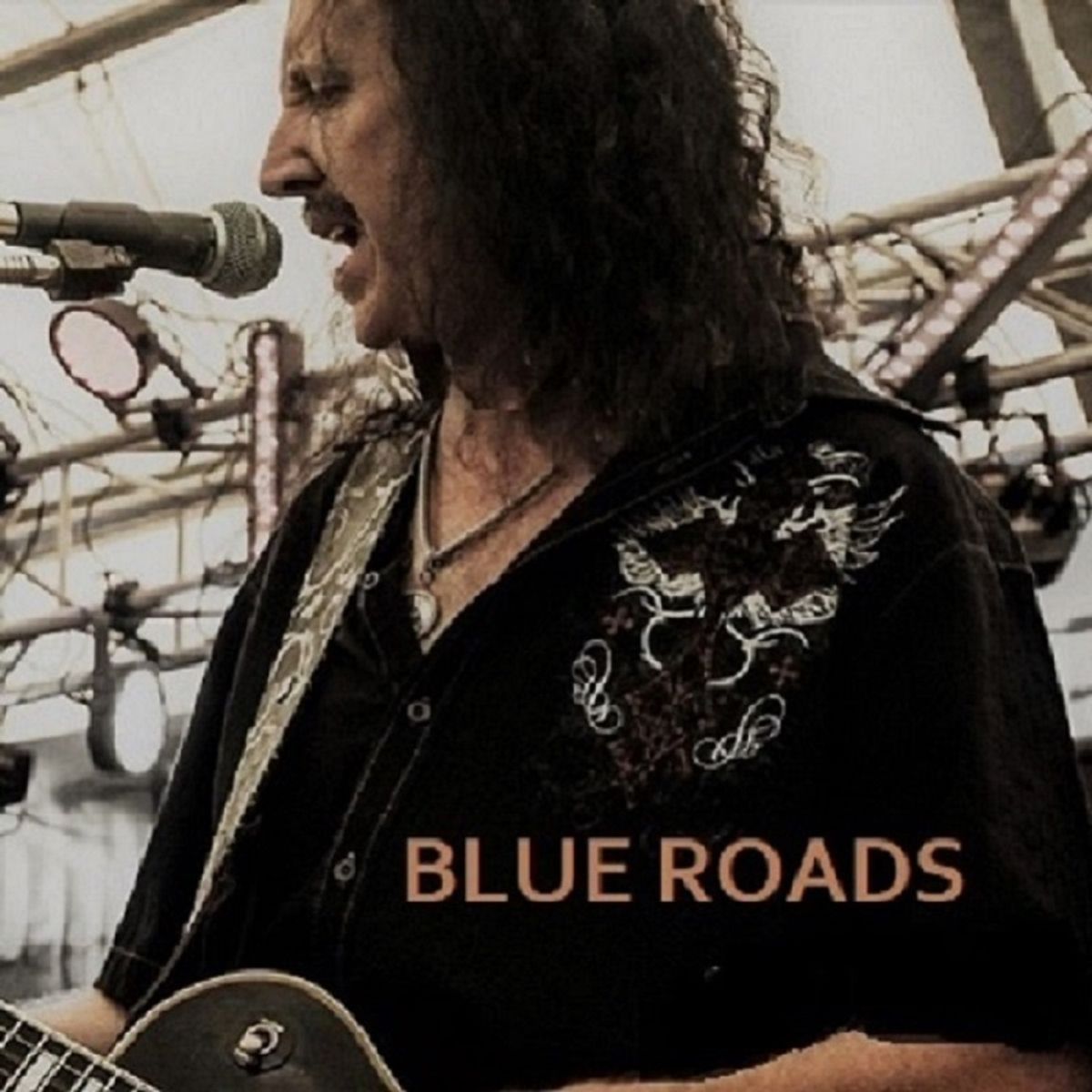 MR BLUE ROADS BIO
